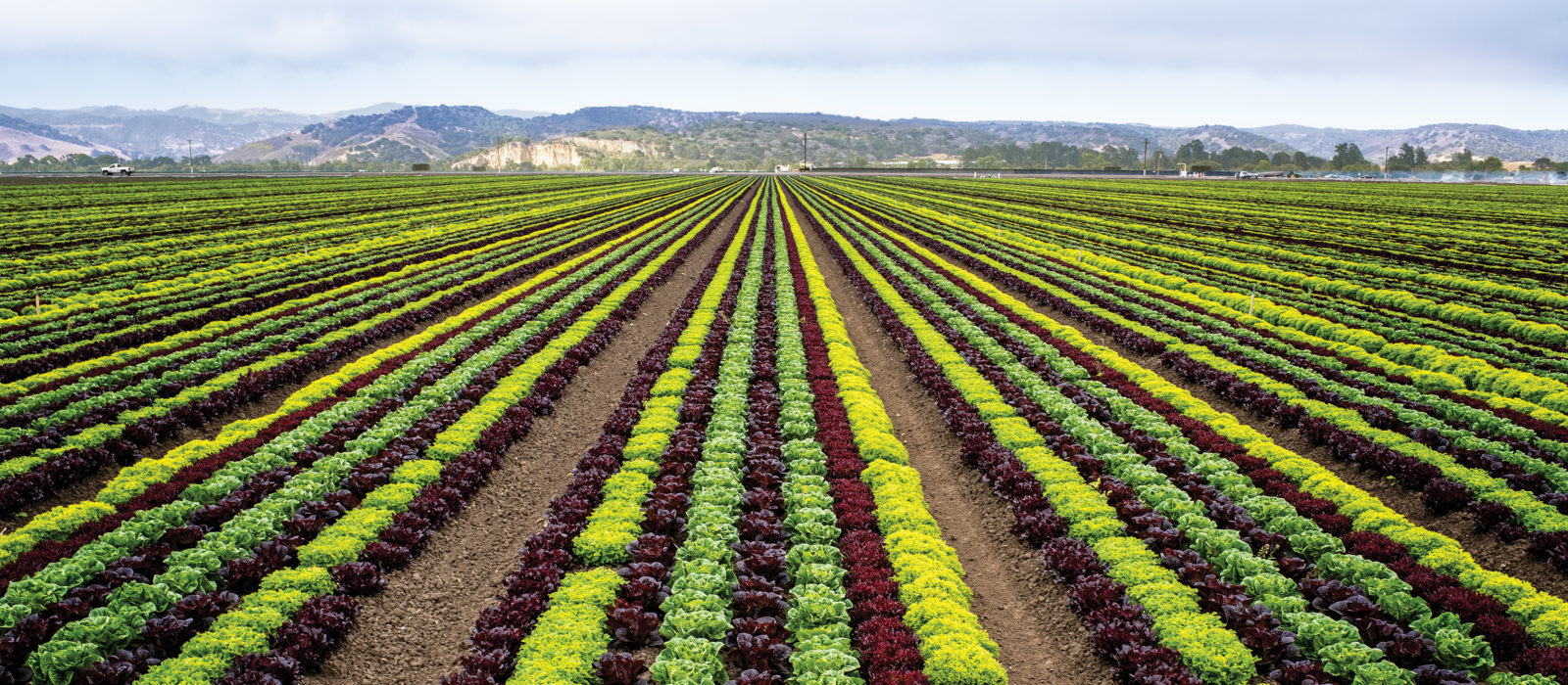 CalAgroClimate – Decision Support Tools for Managing Risks